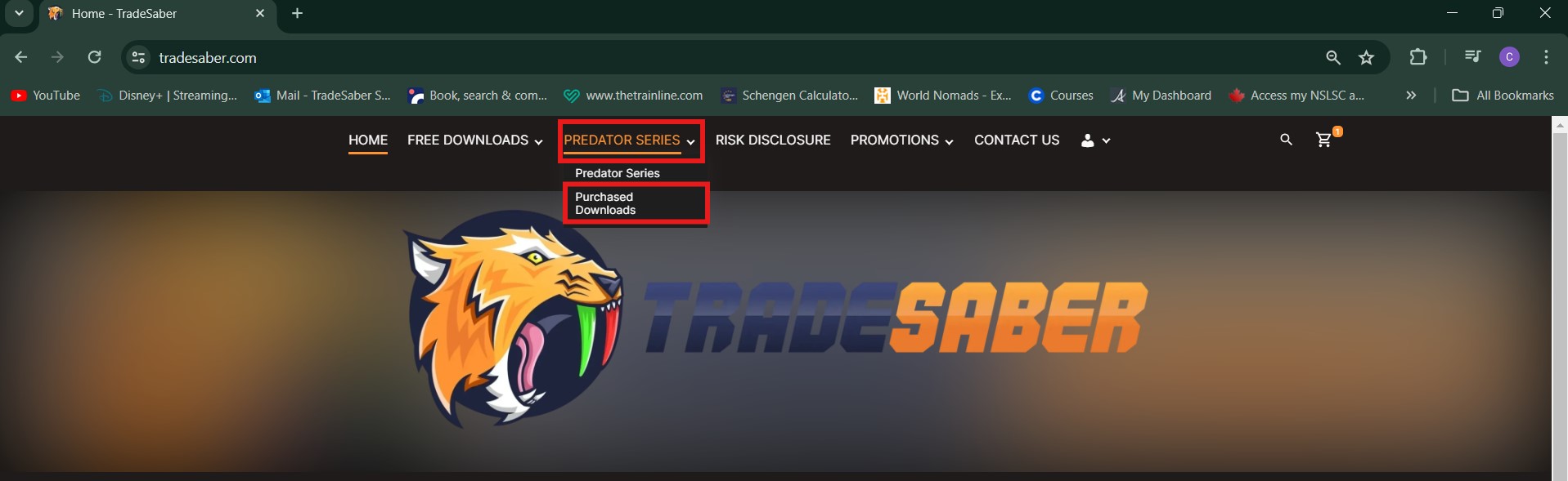 User Guide - TradeSaber